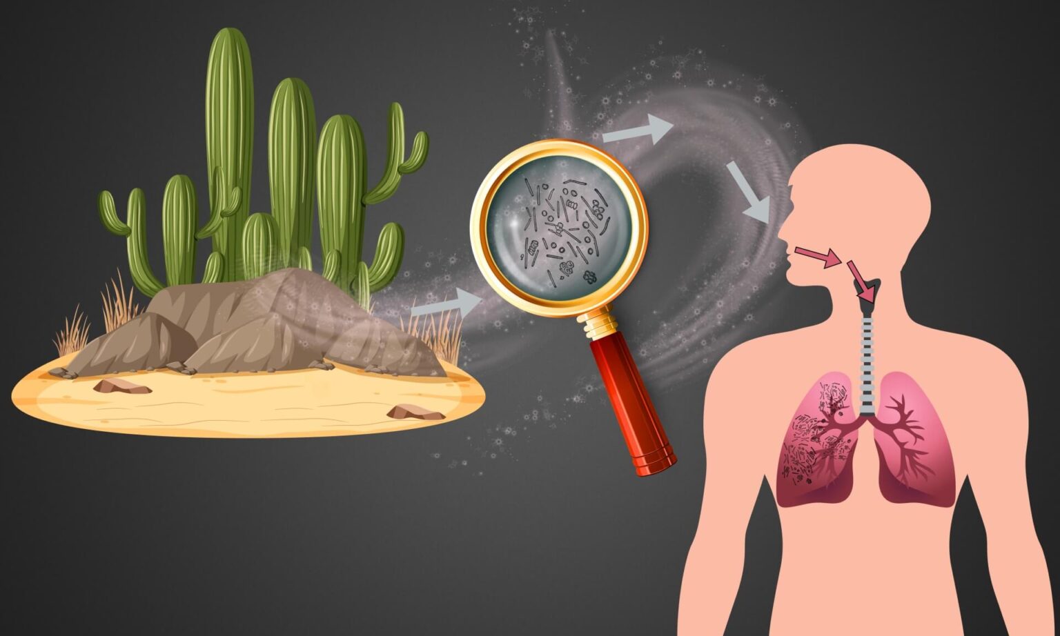 Imagine Earth Without Fungi – Part 1: Nature’s Recyclers and Innovators ...